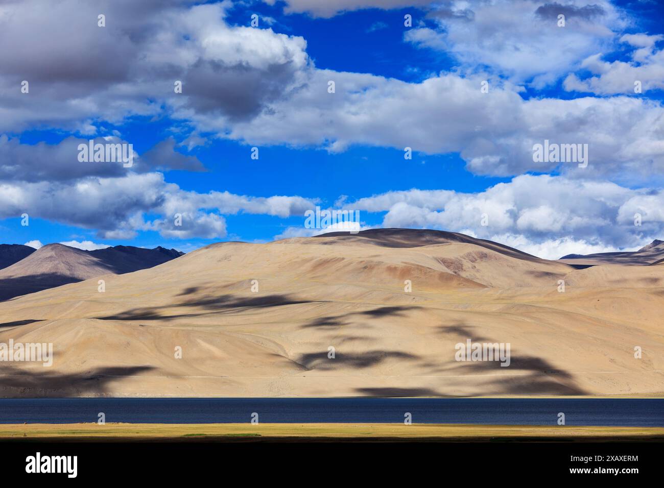 Lake Tso Moriri, Ladakh Stock Photo - Alamy