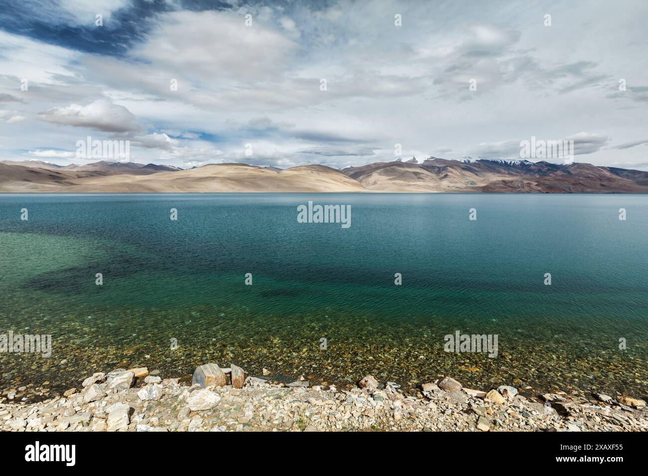 Lake Tso Moriri, Ladakh Stock Photo - Alamy