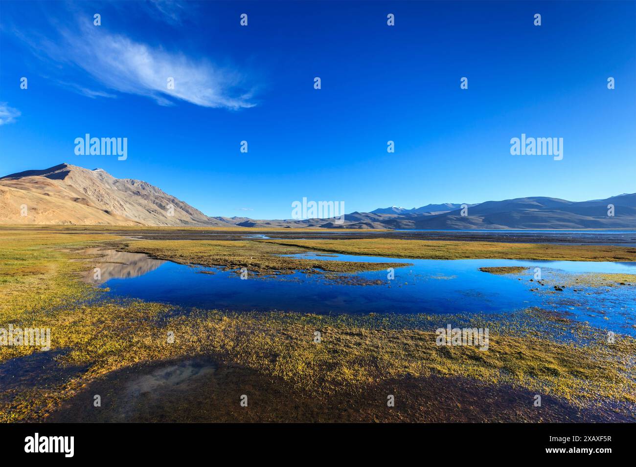 Tso Moriri lake in Himalayas, Ladakh, India Stock Photo - Alamy