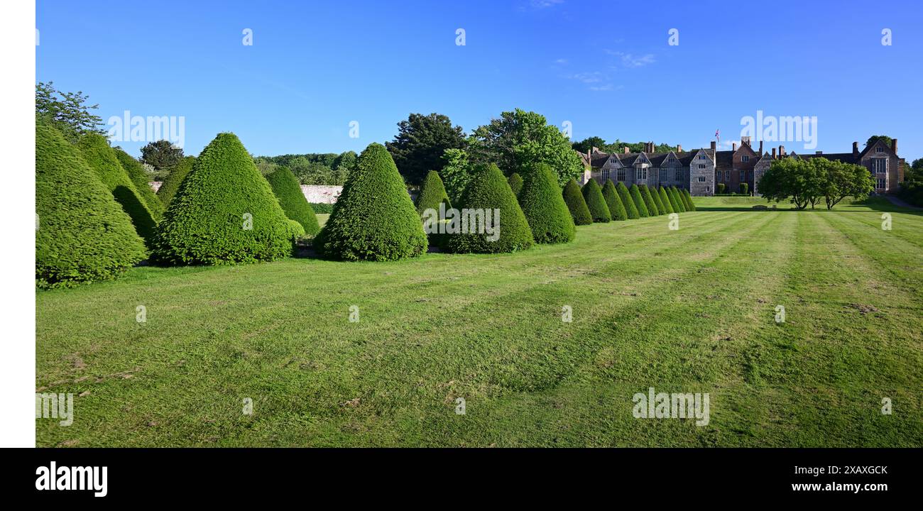 Conical hedges are a key feature of the rear garden of Littlecote House ...
