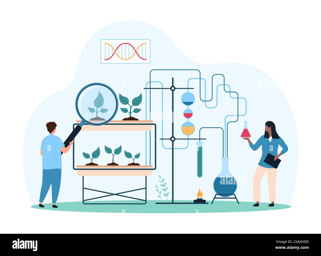 Biology research and growing plants in scientific laboratory for ...