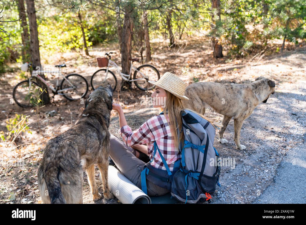 Woman playing stray dog hi-res stock photography and images - Alamy