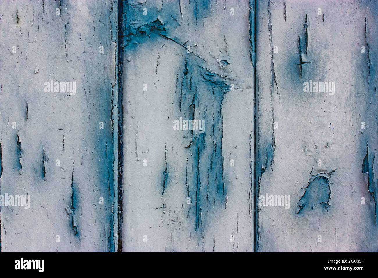Vintage blue wood texture. Old hardwood. Wooden pattern. Old wood ...