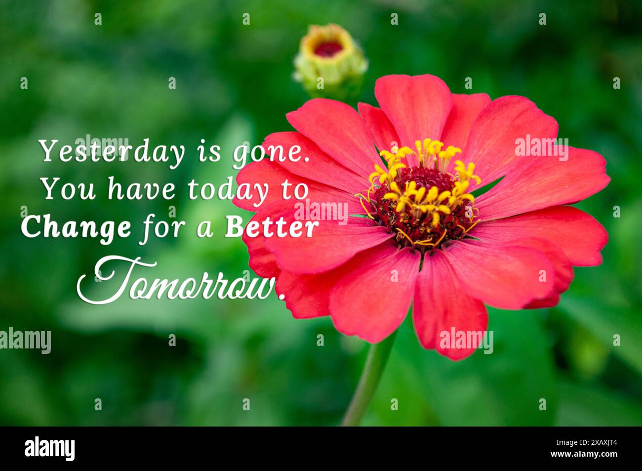 Yesterday is gone. You have today to change for a better tomorrow ...