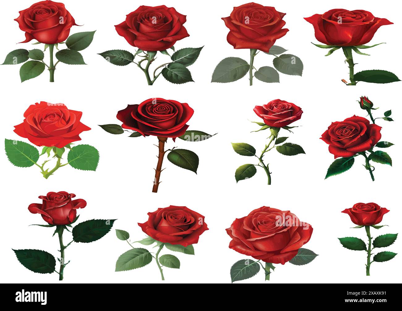 Rose vector bundle hi-res stock photography and images - Alamy