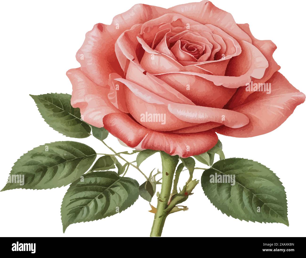 Vector art of a colorful rose on a solid white background Stock Vector ...