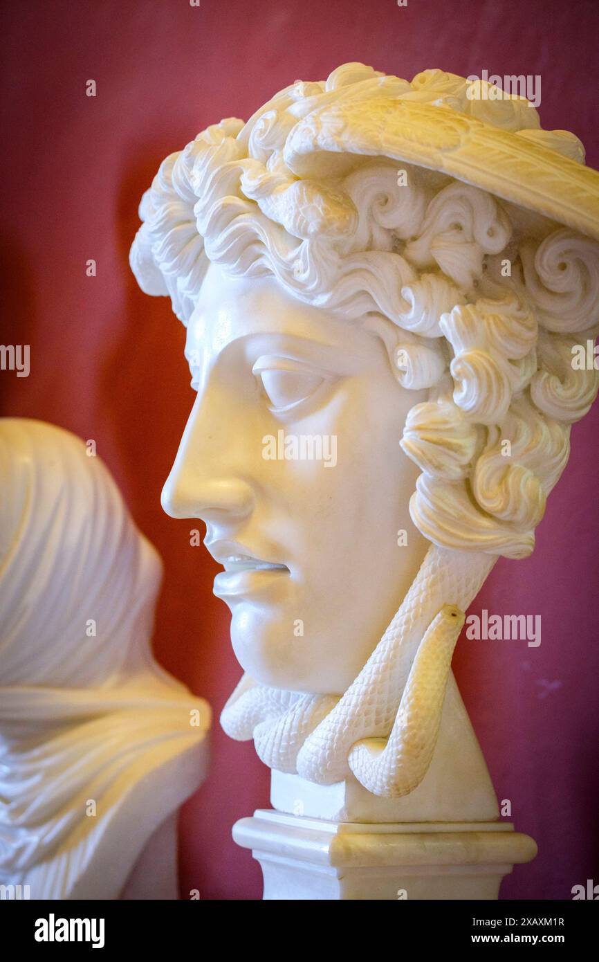 Medusa Rondanini, Despuig Collection of Classical Sculpture, Bellver ...