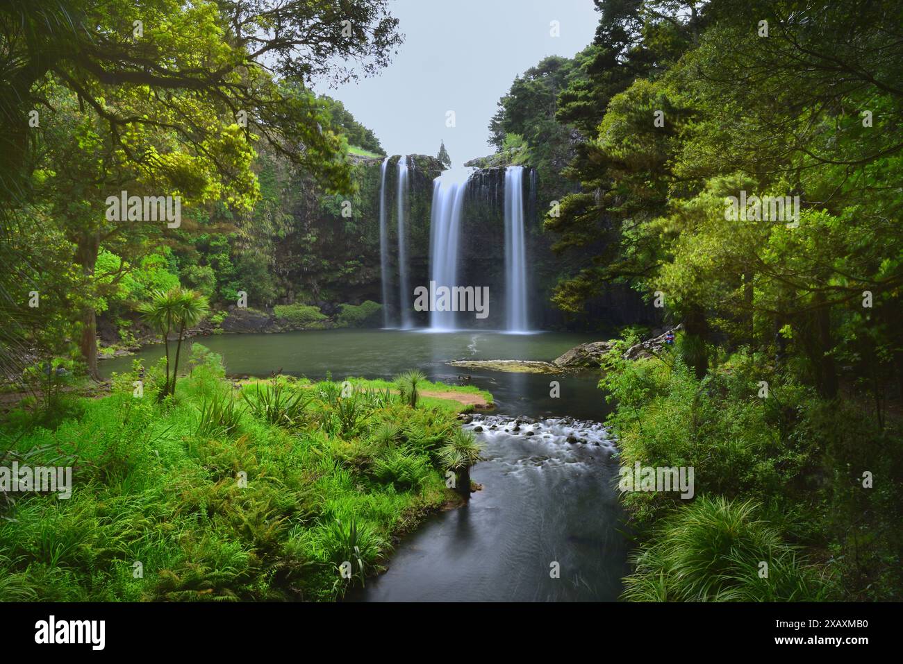 The Whangarei Falls and the splash pool Stock Photo - Alamy