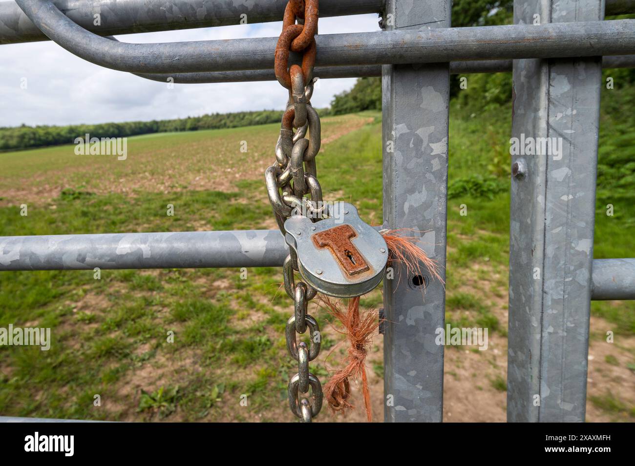 Padlock and chain securing a gate to a field on a farm Stock Photo - Alamy