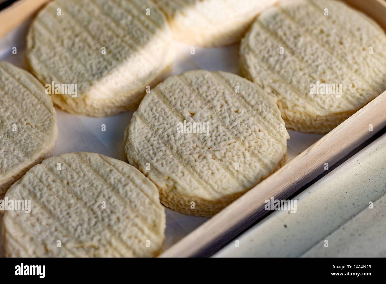 Rocamadour soft goat AOC cheese with soft rind on aging process ...