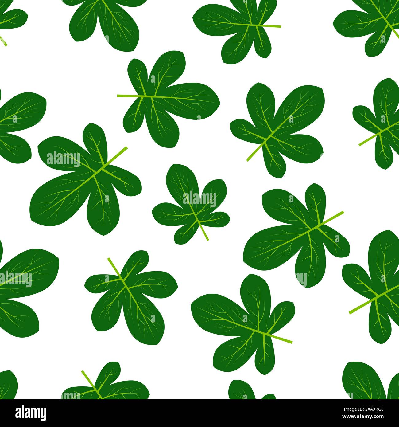 Green summer leaves Stock Vector Images - Alamy