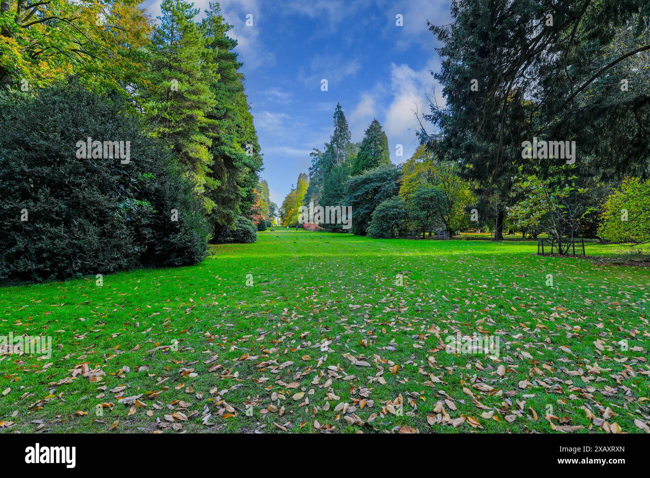 Holford hi-res stock photography and images - Alamy