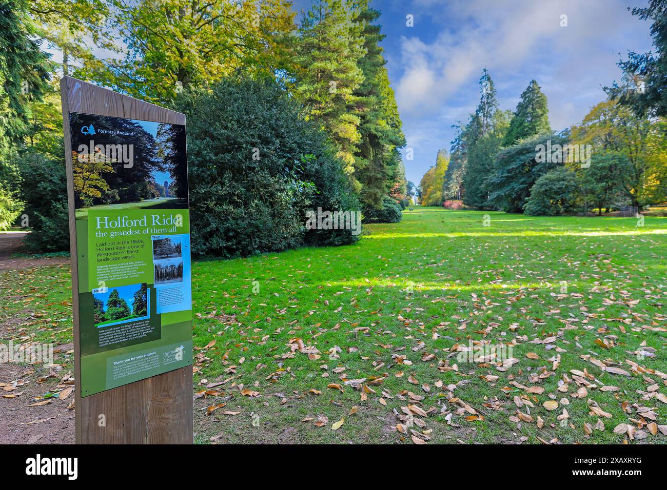 Holford hi-res stock photography and images - Alamy