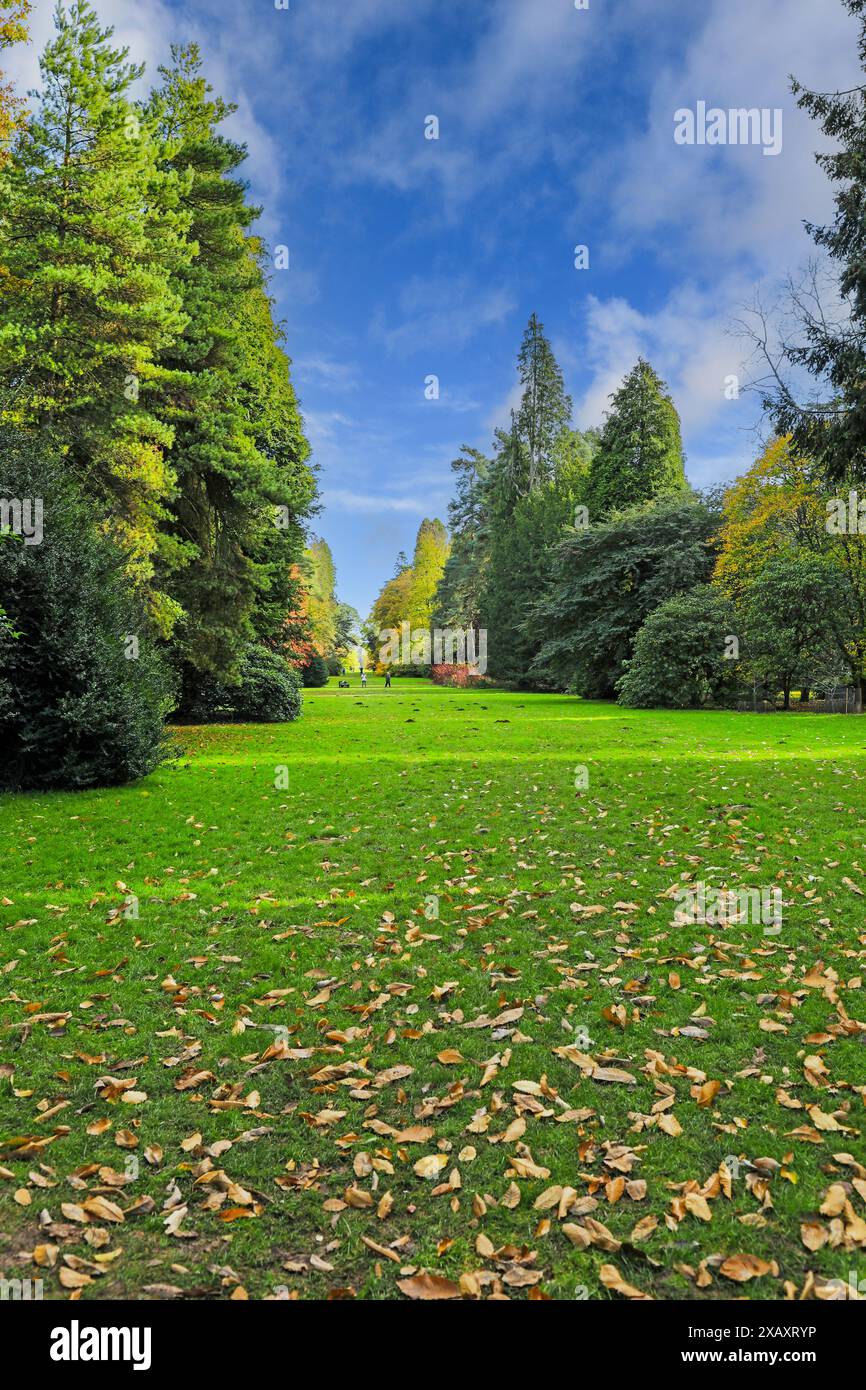 Holford hi-res stock photography and images - Alamy