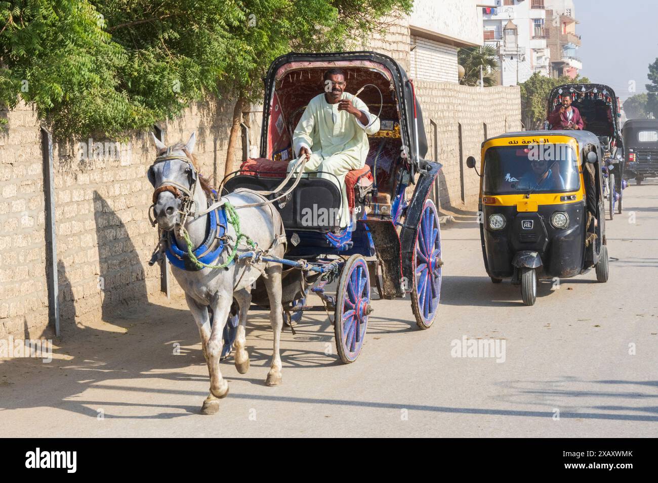 Egyptian horse carriage edfu egypt hi-res stock photography and images ...