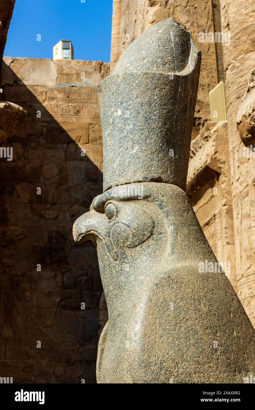 Statue of Horus at the Temple of Edfu, Edfu, Egypt, North Africa ...
