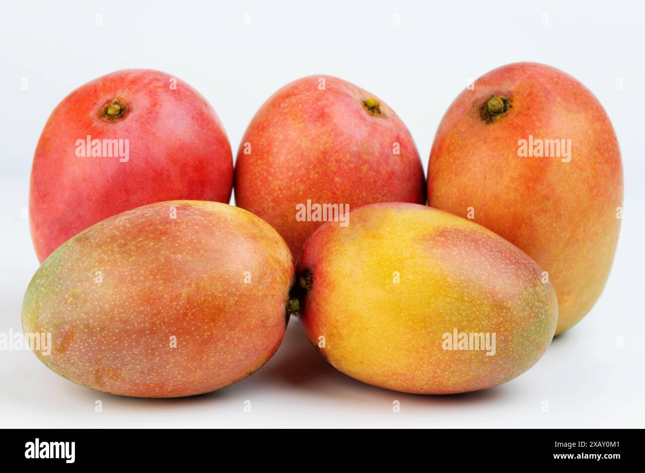 Sweet diet theme. Juicy mango pile on white studio background Stock Photo - Alamy