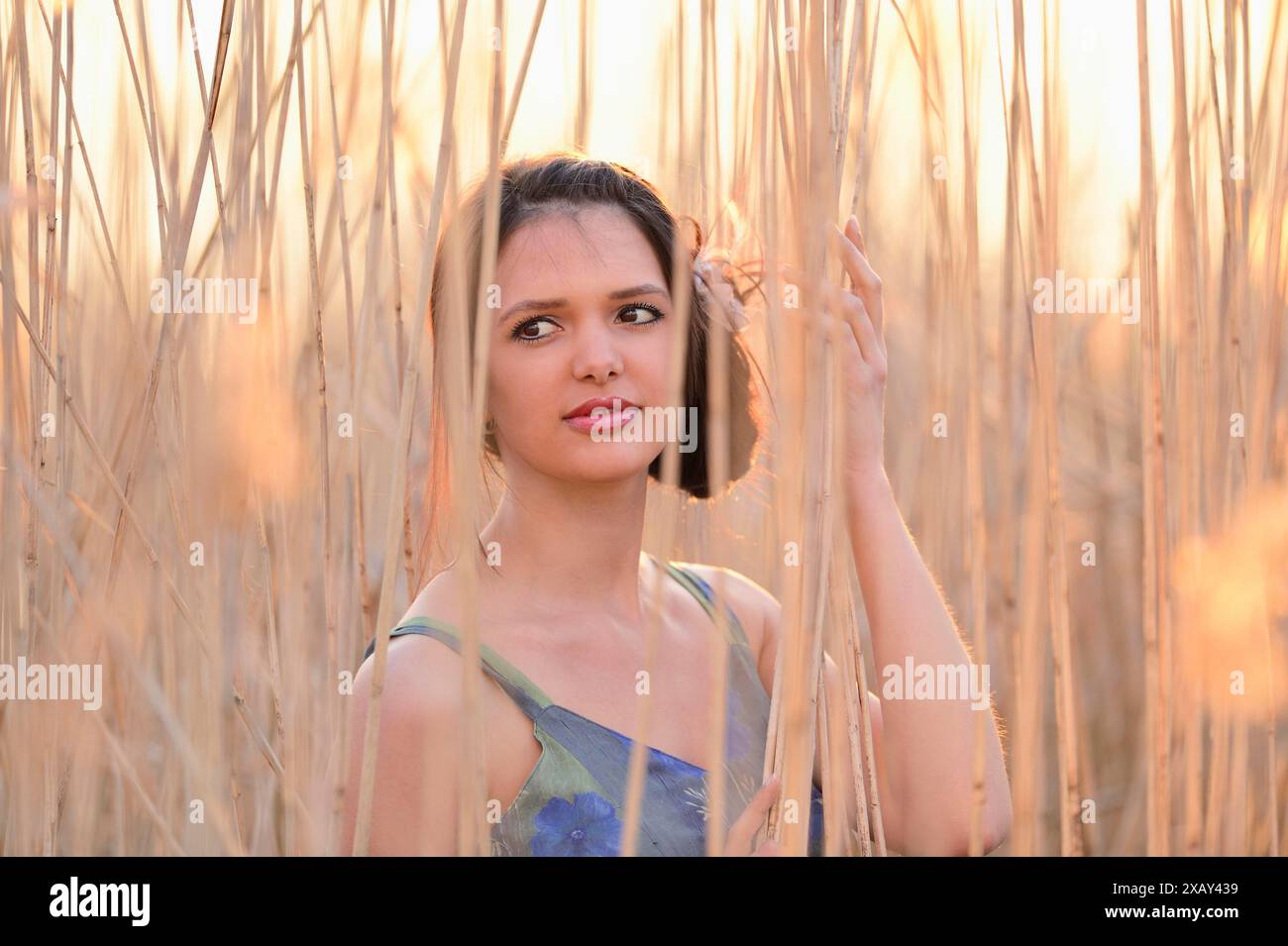 A young woman with brown hair stands thoughtfully amidst reeds with ...