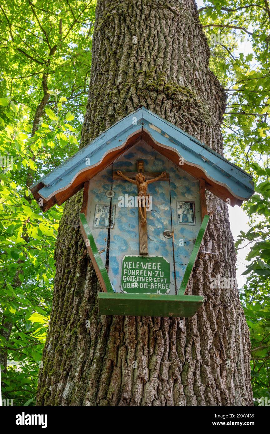 Christ's cross on an oak trunk, (Quercus), Bavaria, Germany Stock Photo ...