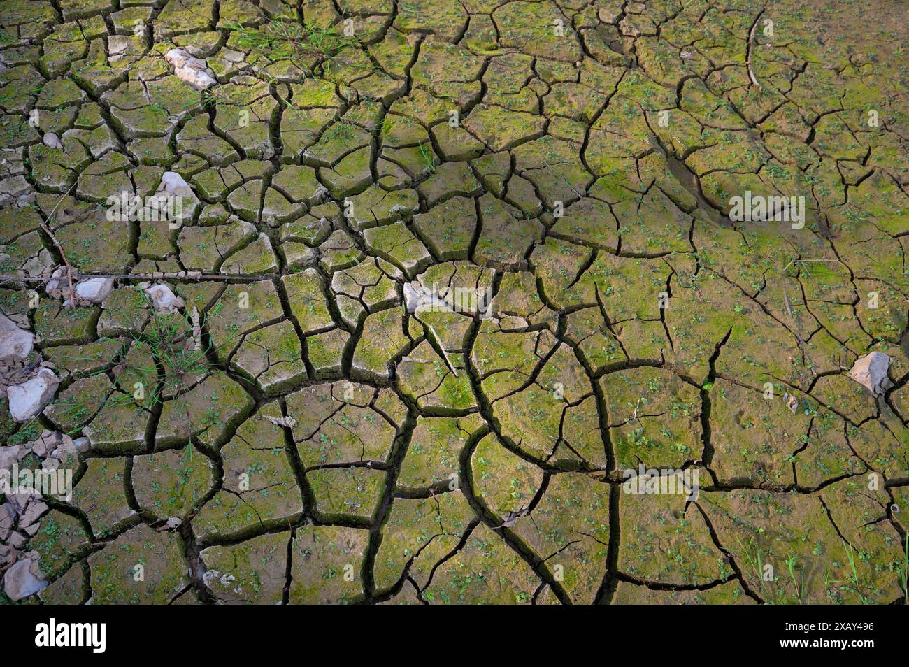 Ripped up earth in a dry carp pond, Franconia, Bavaria, Germany Stock ...