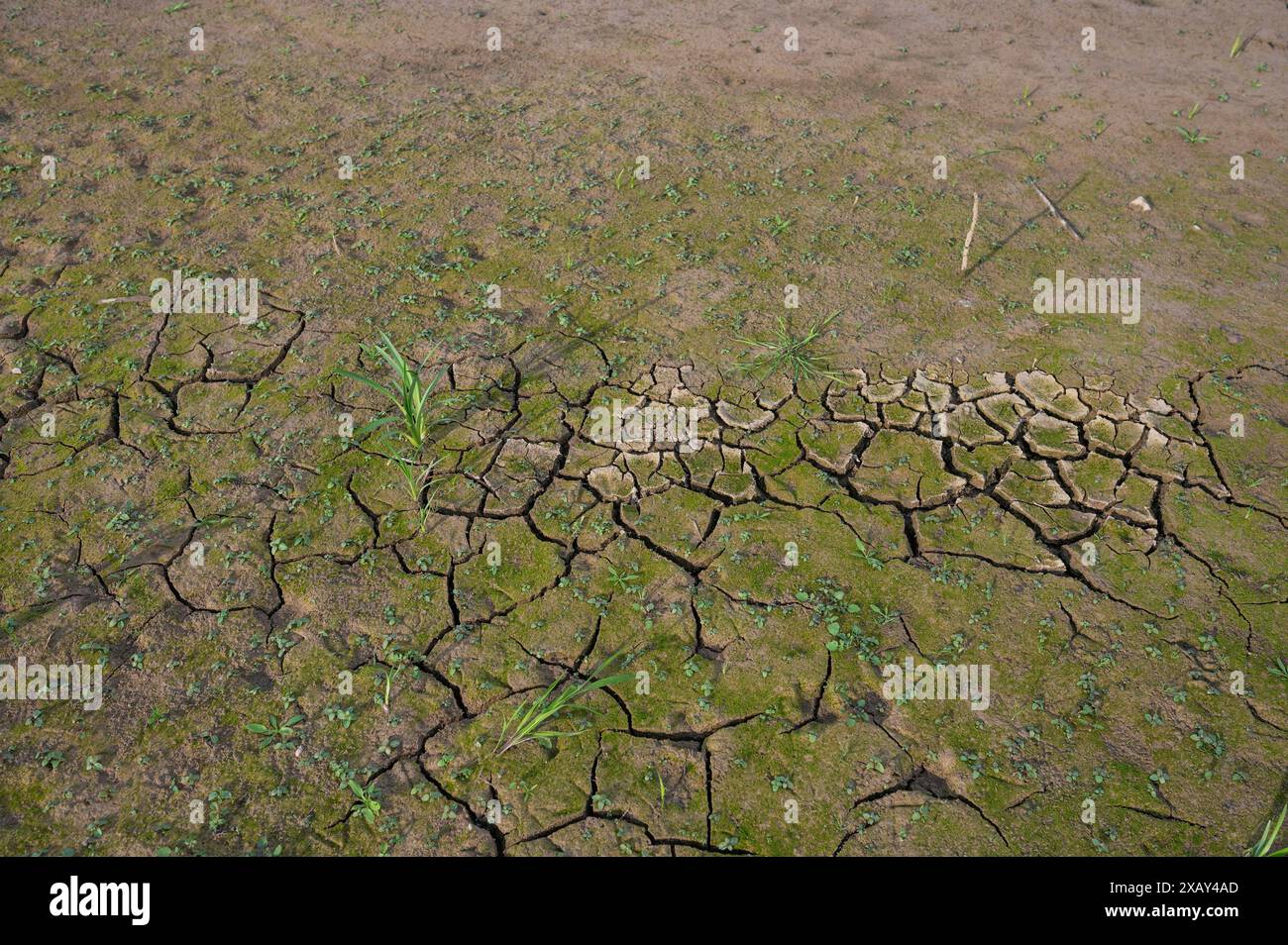 Ripped up earth in a dry carp pond, Franconia, Bavaria, Germany Stock ...