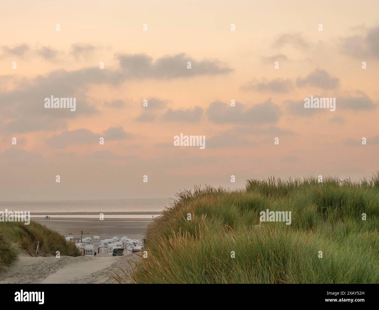 Calm sunset over the sea, soft sky with clouds and grassy dunes ...