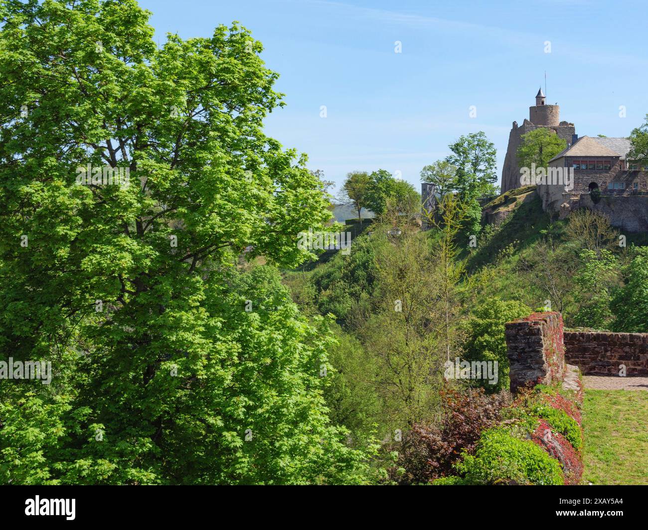 A castle and ruins hidden between green trees, embedded in nature under a clear sky, Saarburg ...