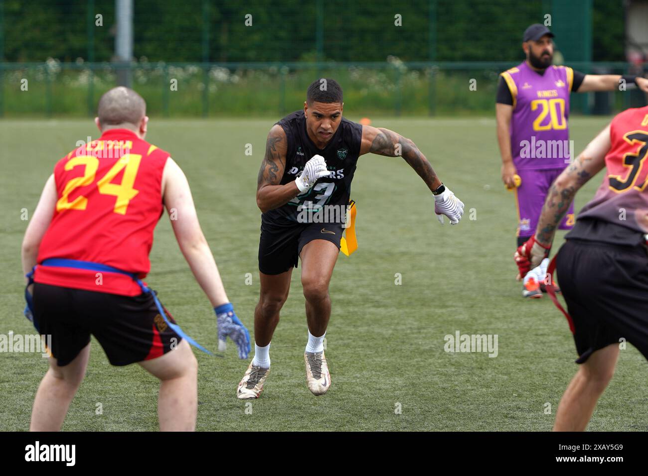 Victoria park panthers hi-res stock photography and images - Alamy