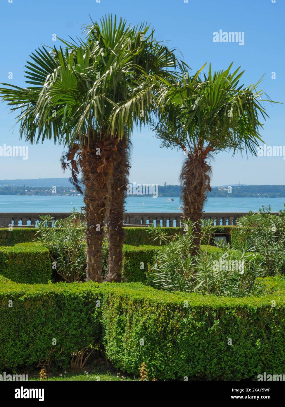 Two palm trees in a well-tended garden with a view of the water under a ...