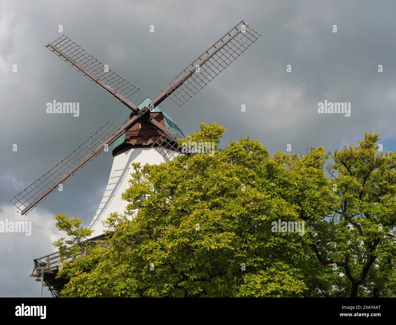 A large windmill rises into the sky, surrounded by dense green trees ...