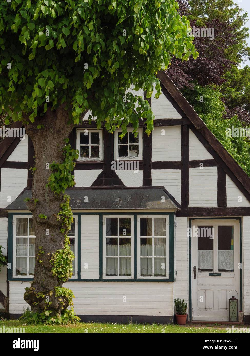 A traditional half-timbered house with large trees and windows ...