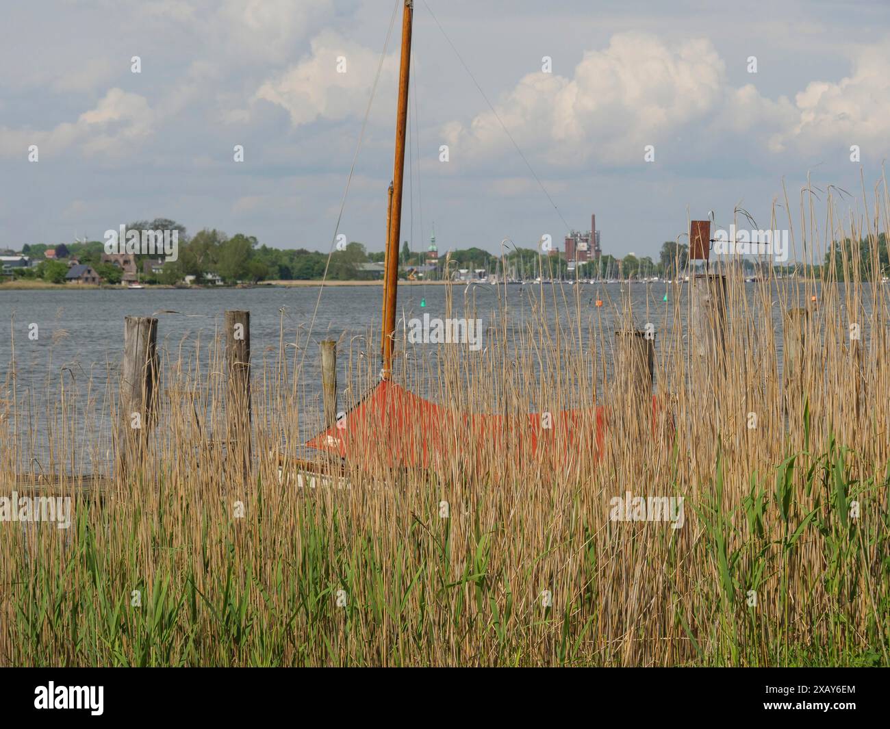 View through reed grass to a lake with boat, poles and cloudy sky ...