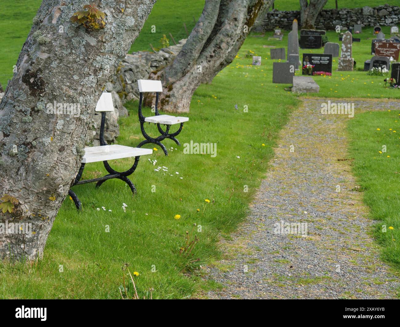 Park benches along a path in a cemetery with trees, gravestones and ...