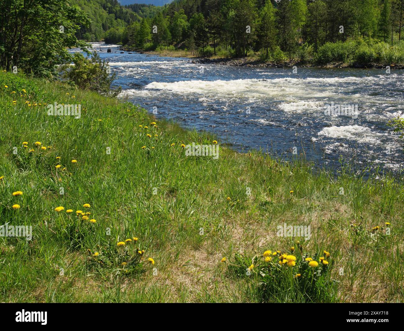 Sky border hi-res stock photography and images - Alamy