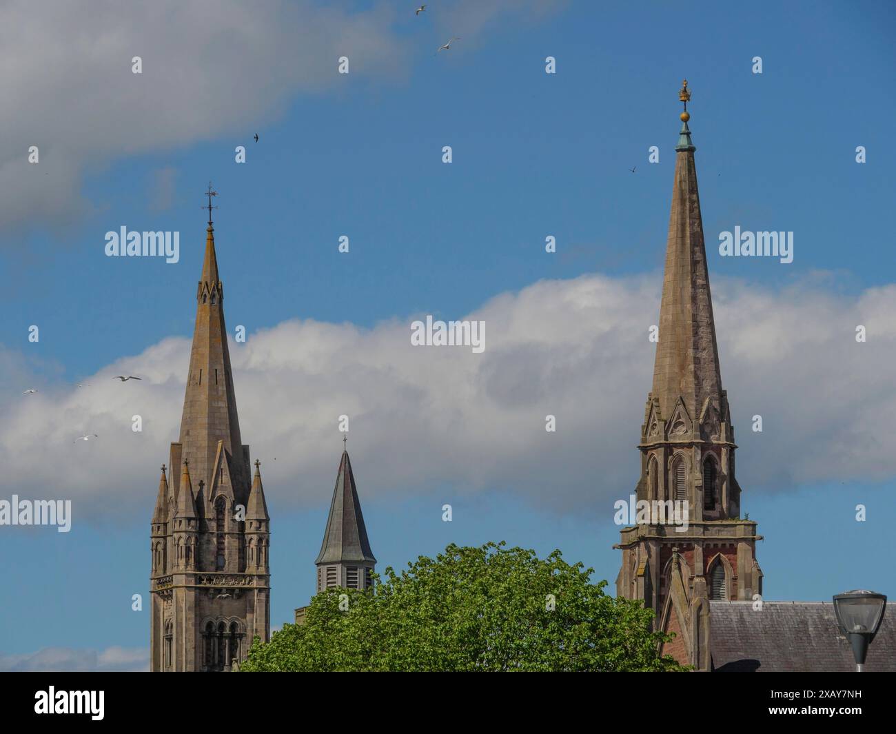 Buildings with high church towers and gothic architecture under a ...