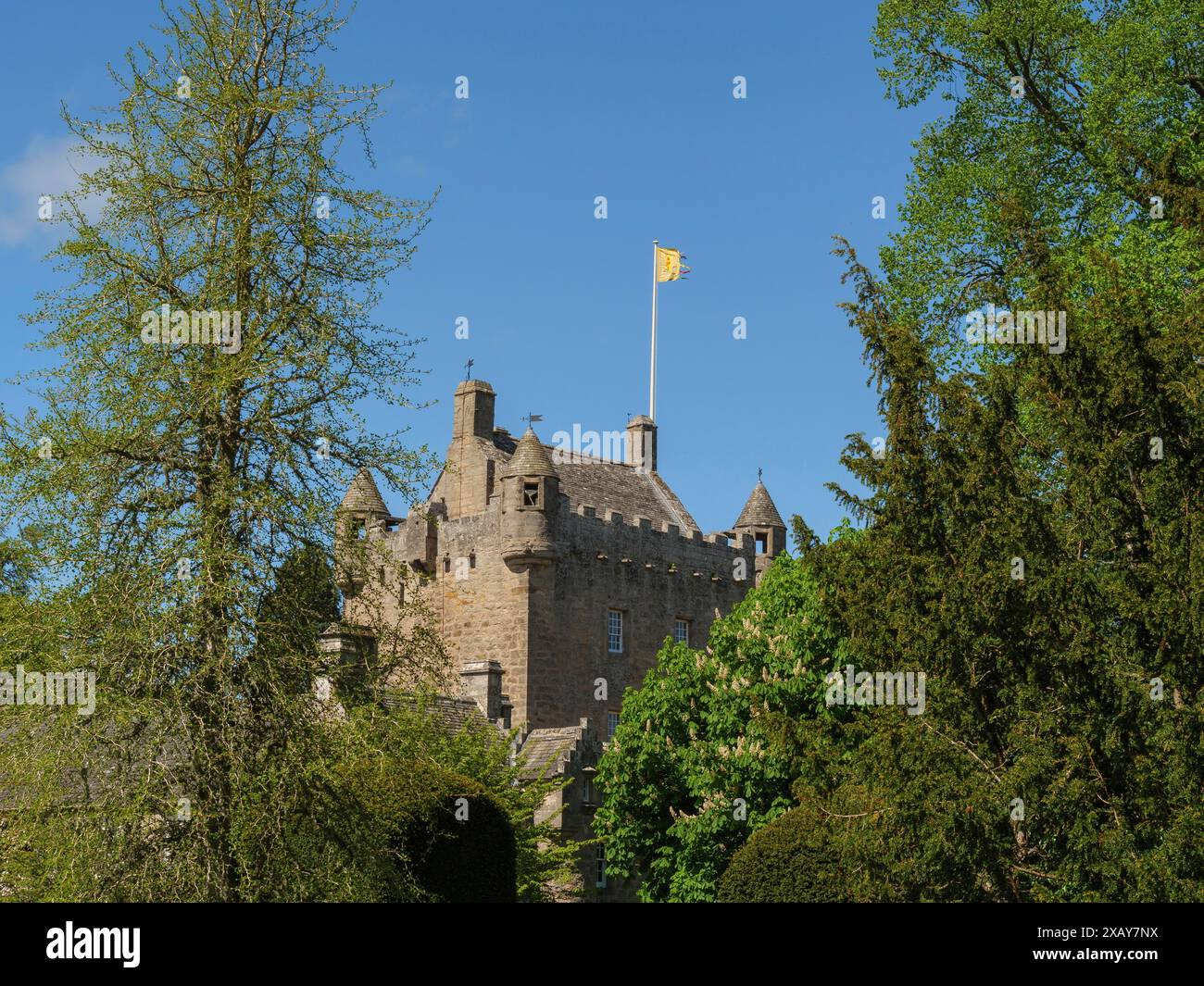 A historic castle with a waving flag on the tower, surrounded by green ...