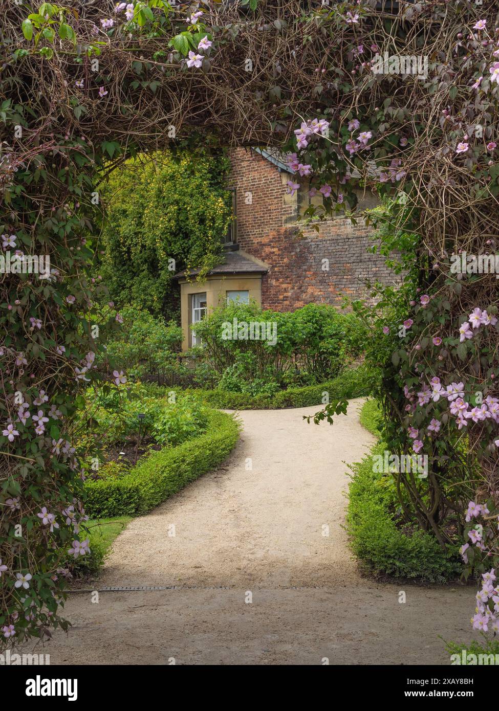 Garden path under a flowering arch leading to a small house, Newcastle ...