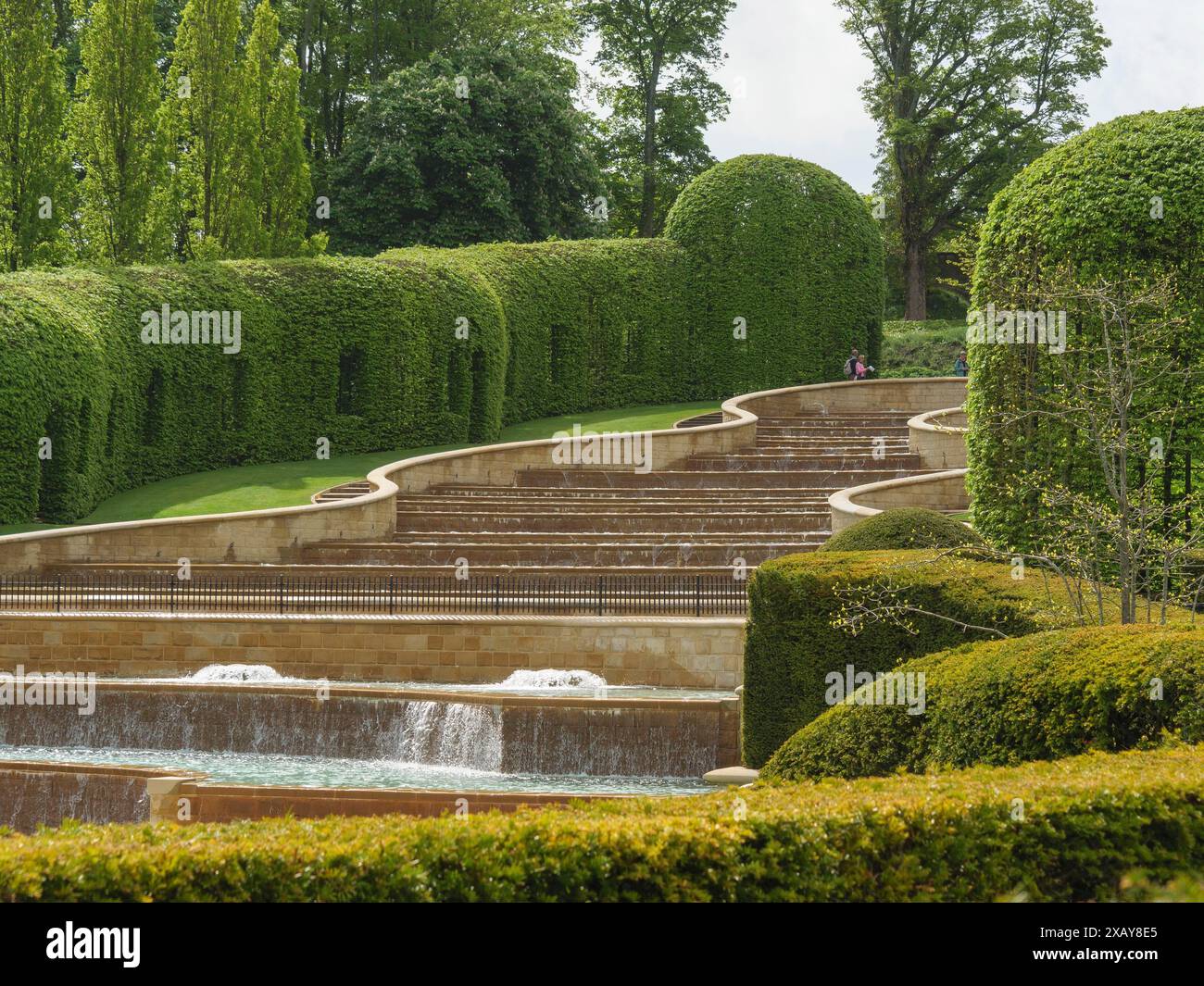 Beautifully landscaped garden with waterfall, steps and manicured ...