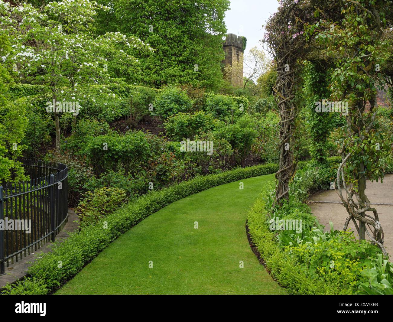 Green garden with manicured lawn path, surrounded by dense vegetation ...