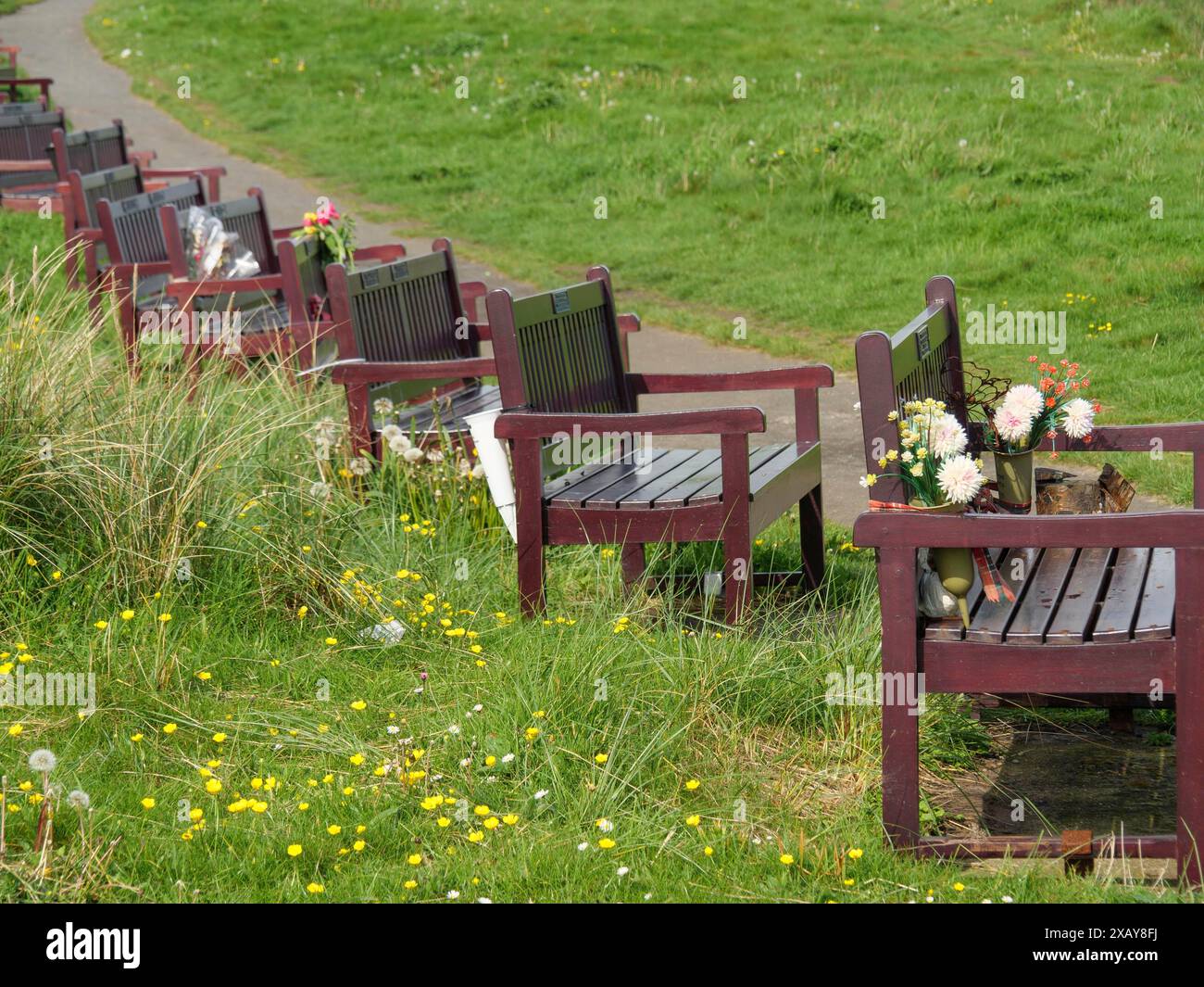 Park benches along a path on a green meadow, decorated with flowers ...