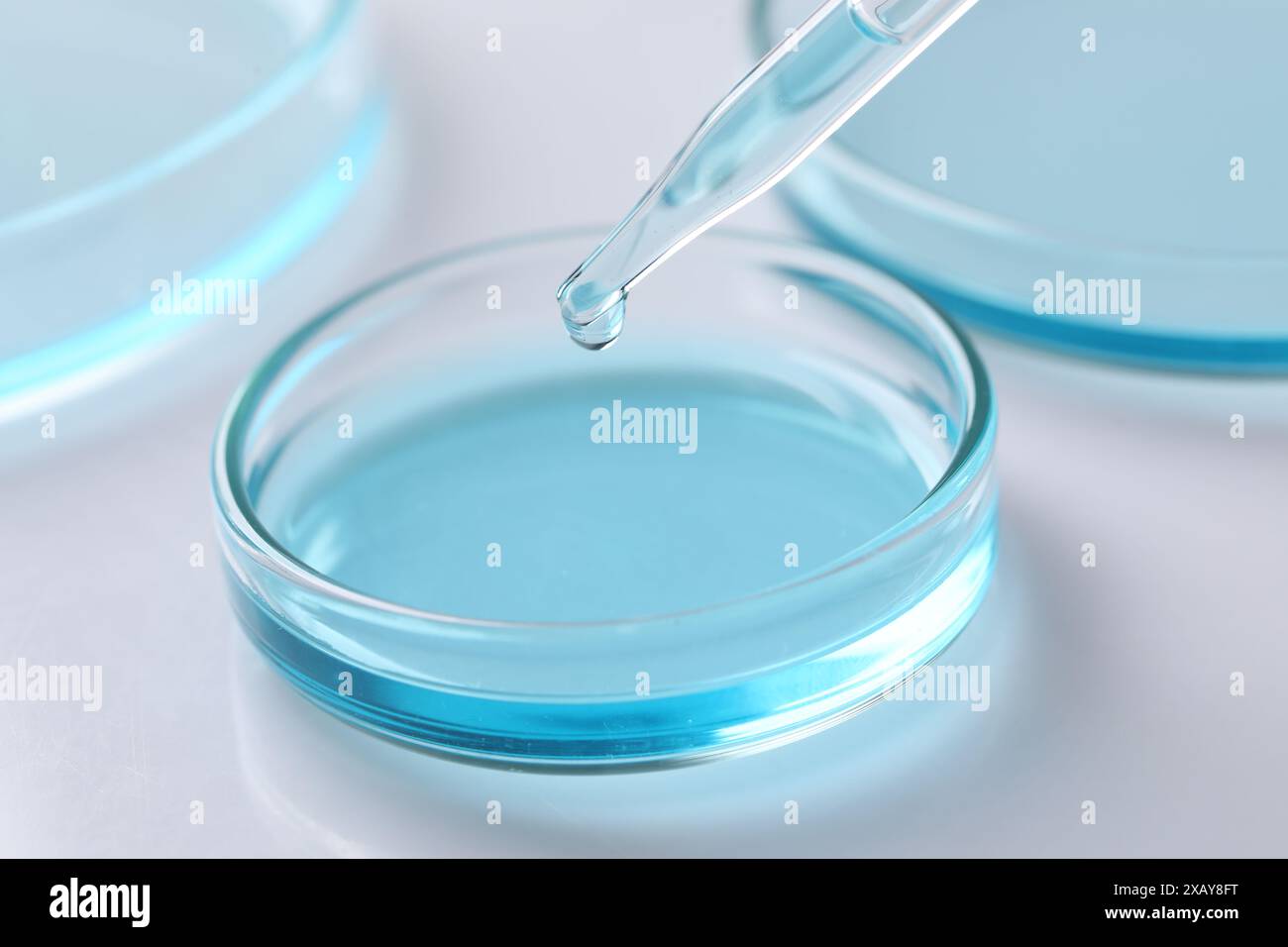 Dripping liquid from pipette into petri dish at white table, closeup ...