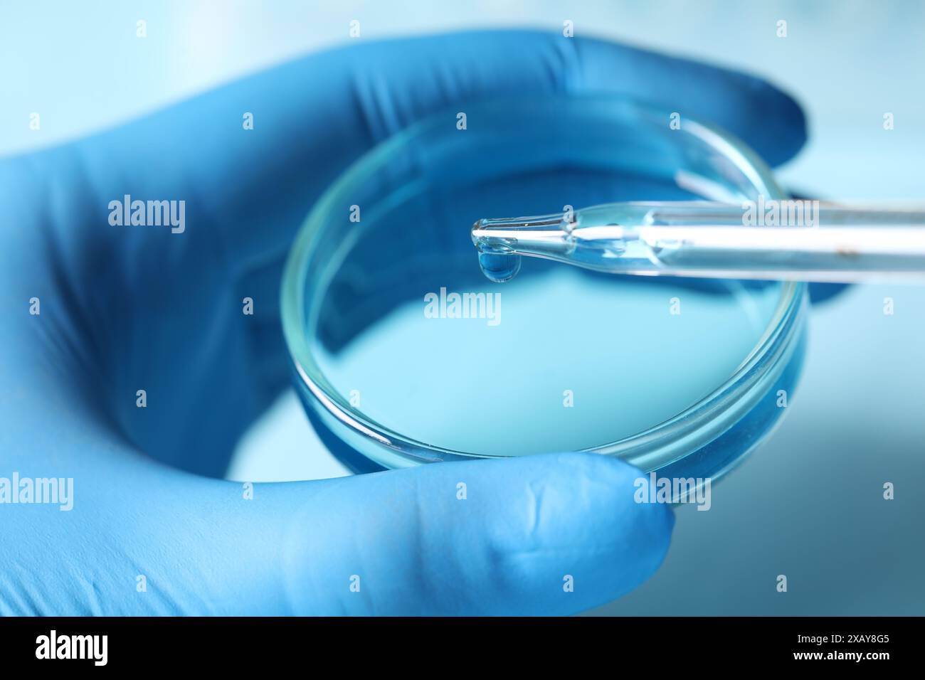 Doctor dripping liquid from pipette into petri dish on light blue ...