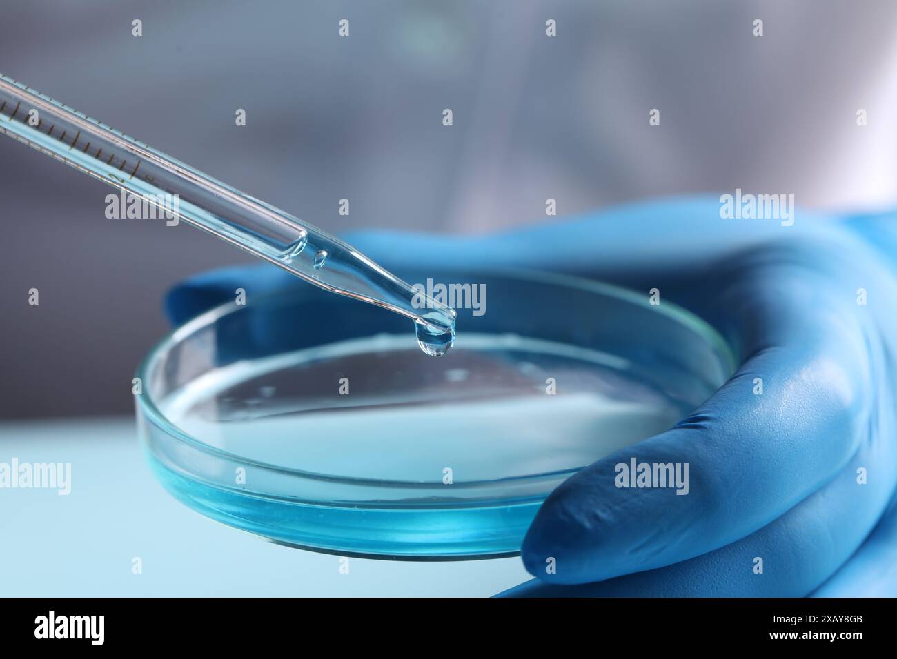 Doctor dripping liquid from pipette into petri dish on blurred ...