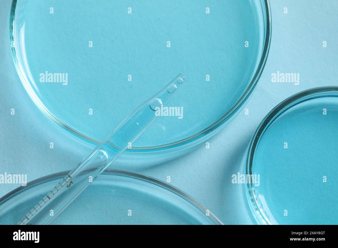 Measuring pipette and petri dishes on light blue table, flat lay Stock ...