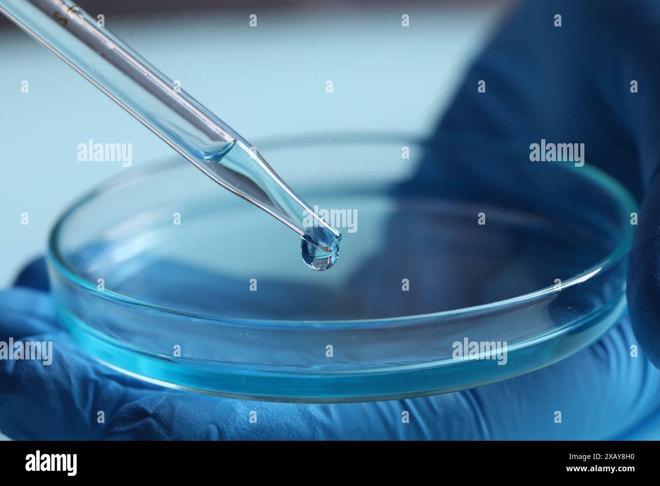Doctor dripping liquid from pipette into petri dish on blurred ...