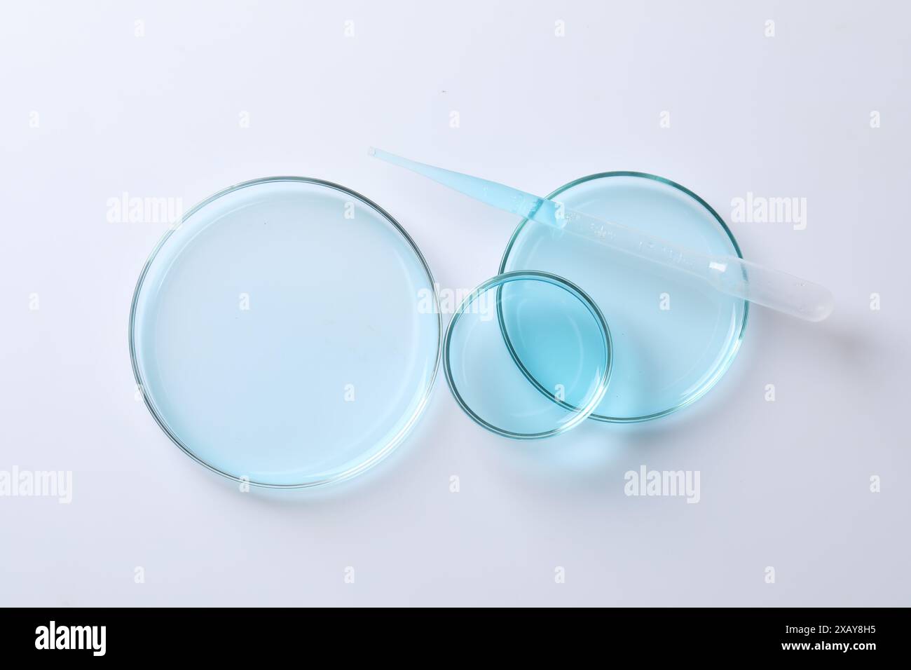 Transfer pipette and petri dishes on white table, flat lay Stock Photo ...