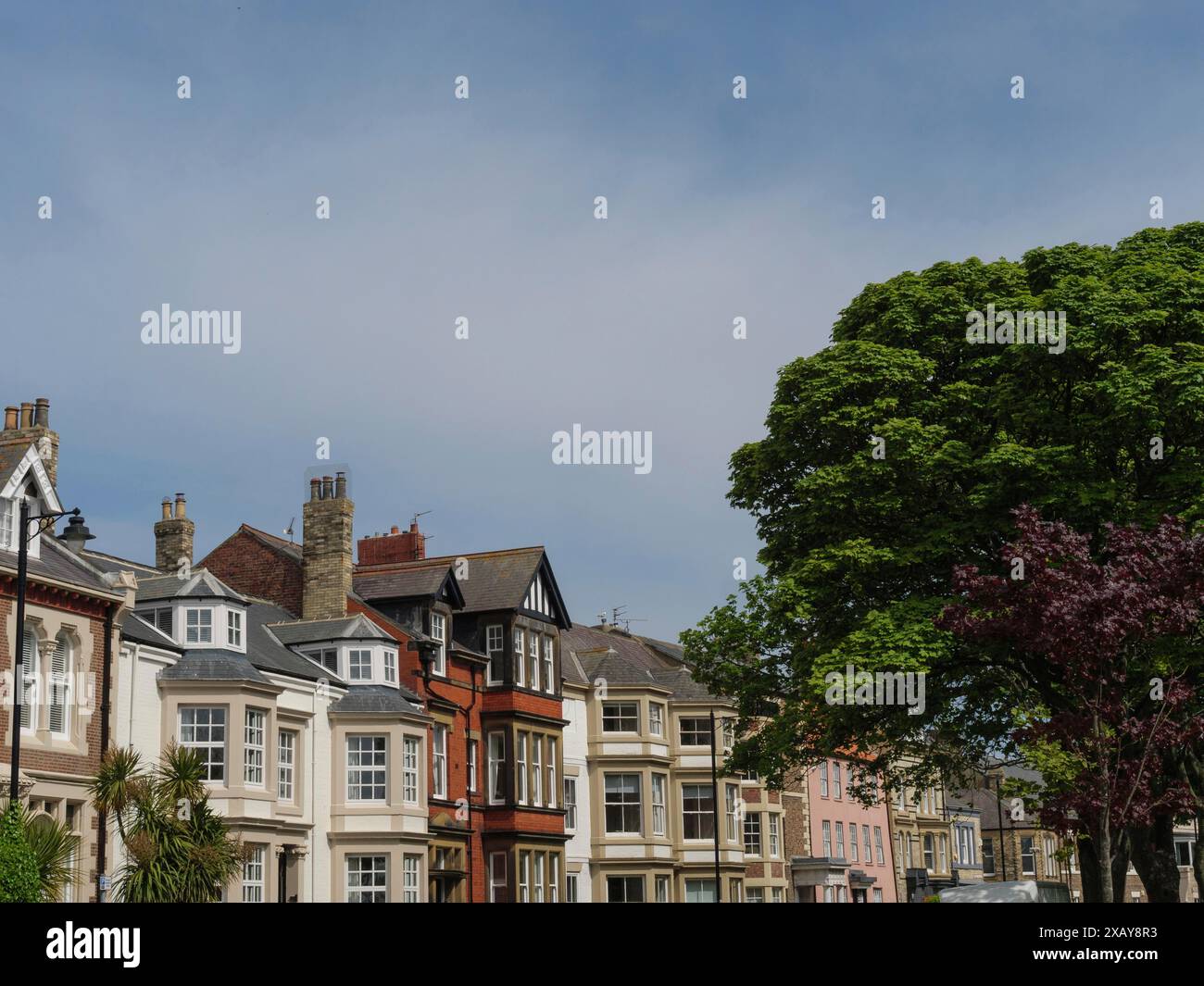 Street scene with colourful old town houses and a large tree in the ...