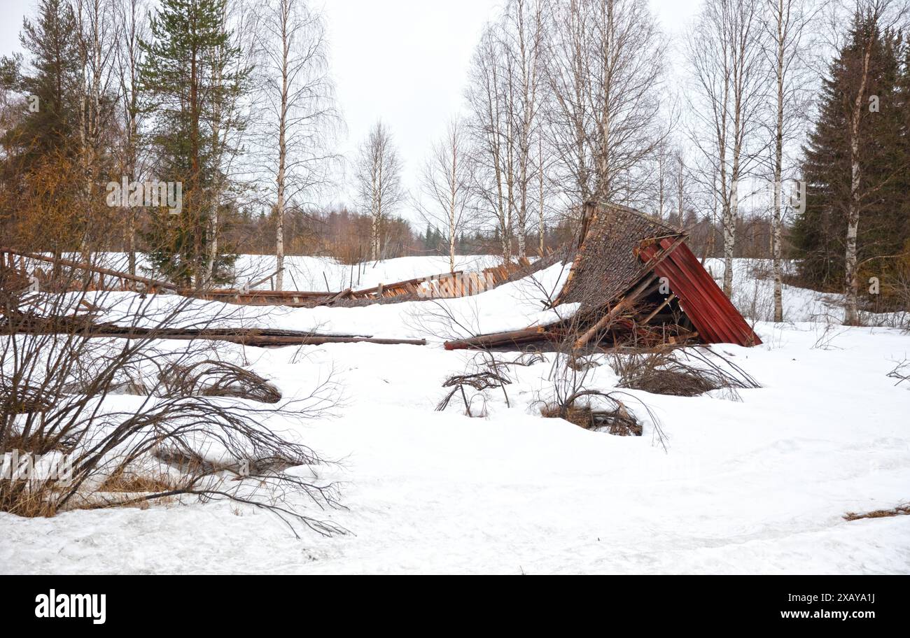 Collapsed structure destroyed by snowfall in Finland, end of winter ...