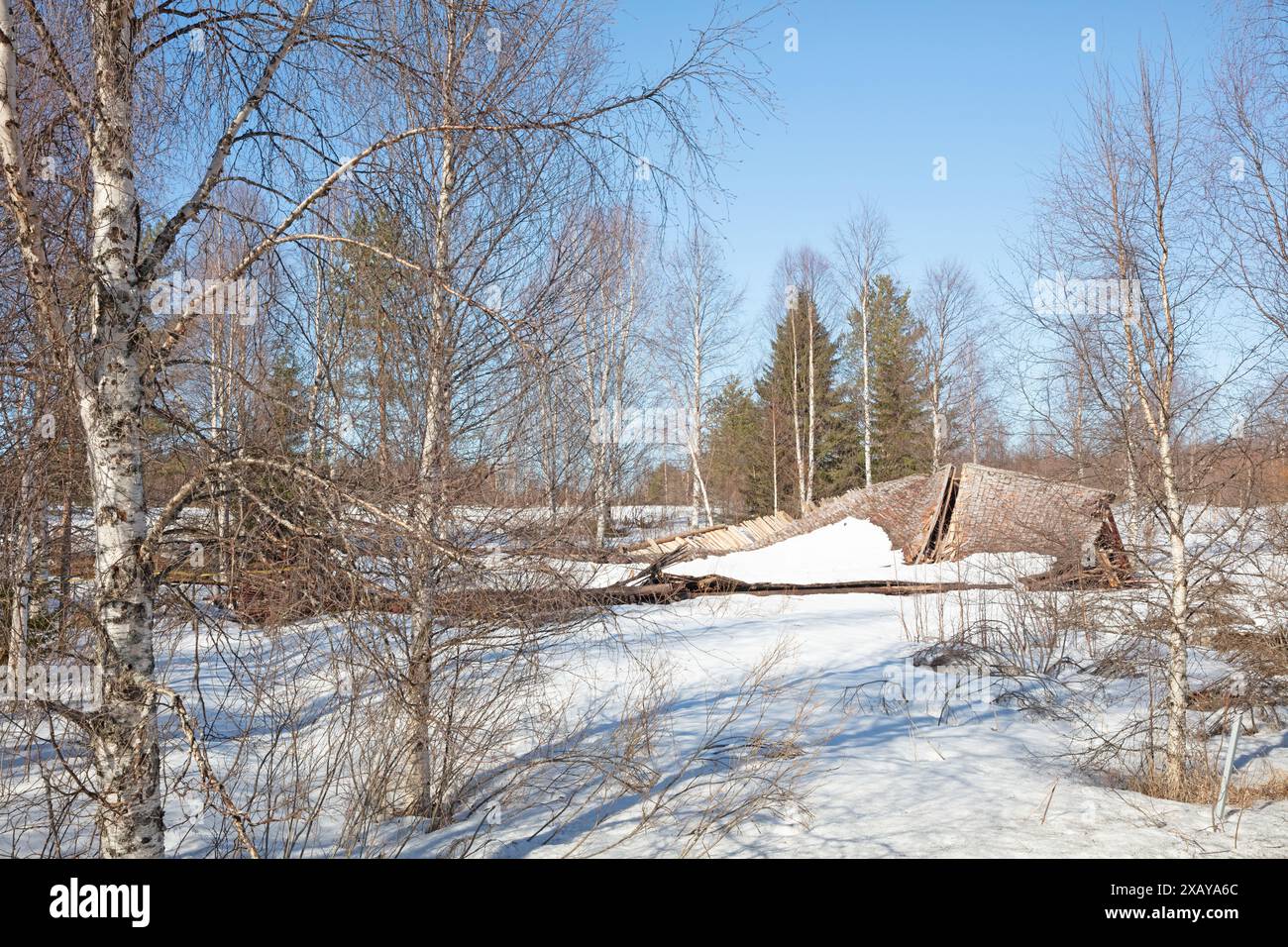 Collapsed structure destroyed by snowfall in Finland, end of winter ...