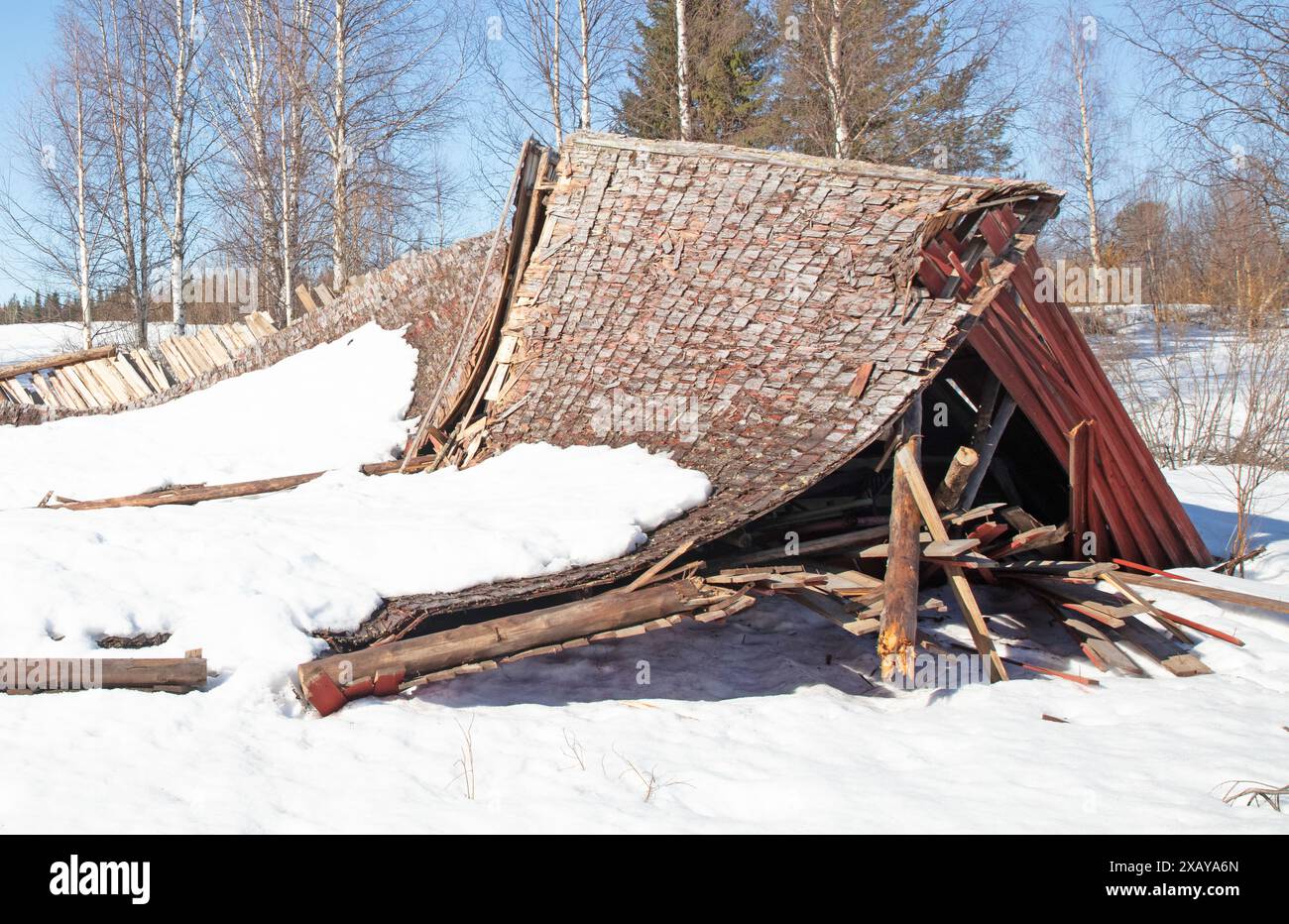 Collapsed structure destroyed by snowfall in Finland, end of winter ...